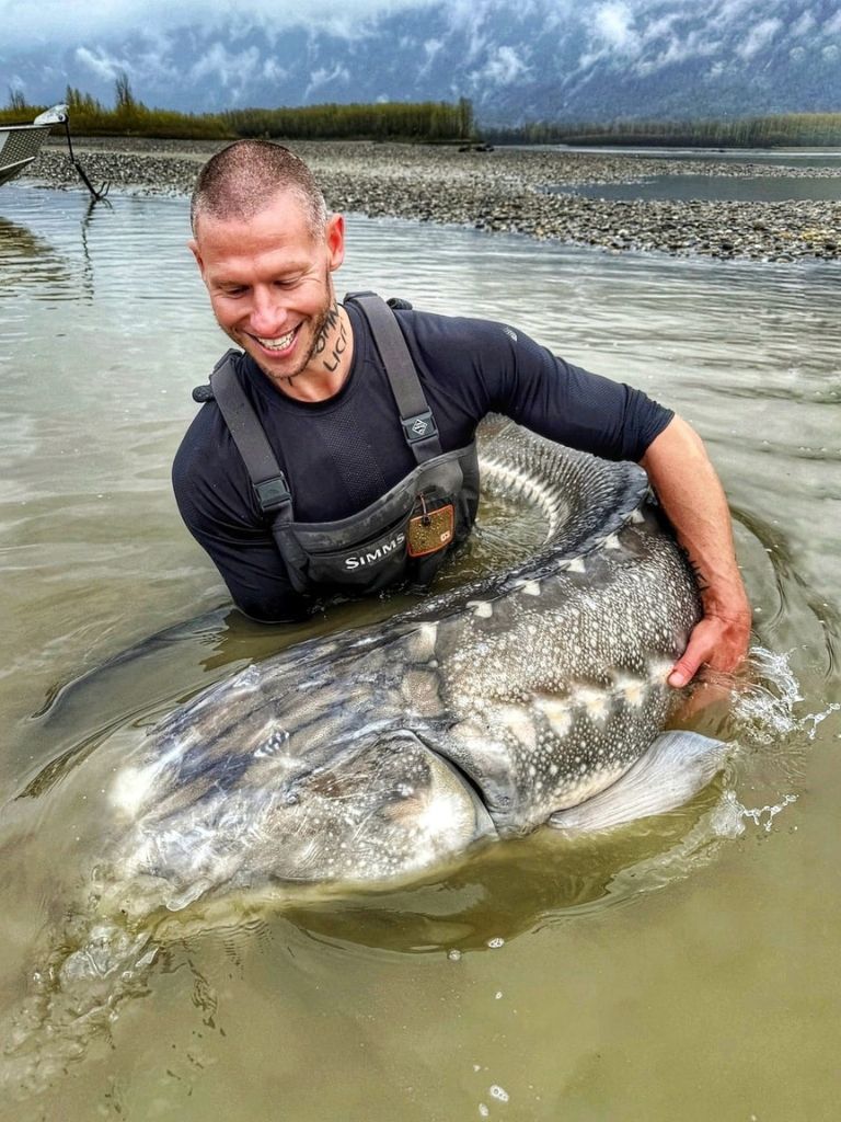 Anti-Perfomance-Coaching | ein AMOR FATI Projekt